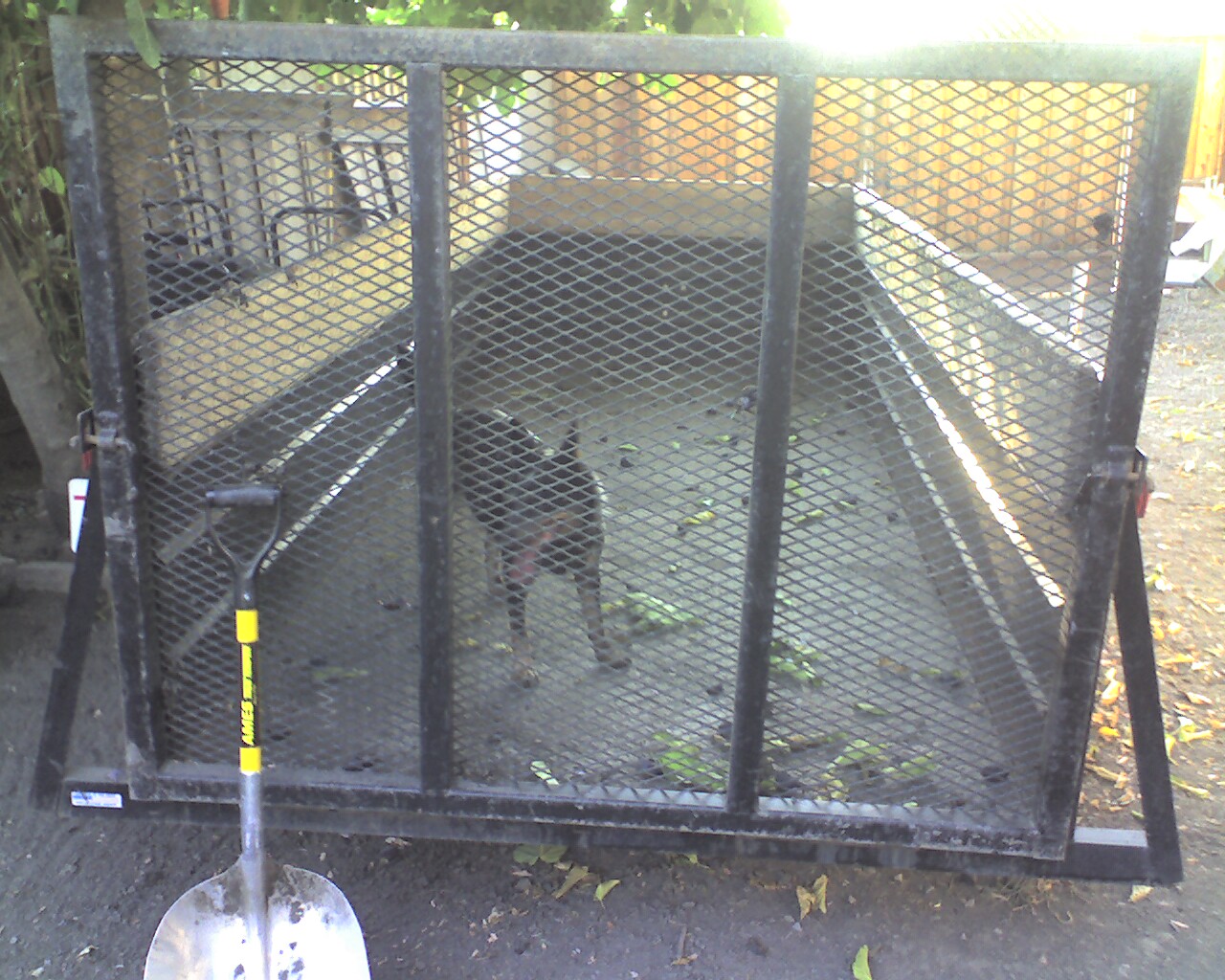 Happy caged dog - MyConfinedSpace