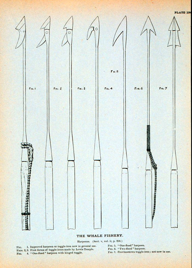 Harpoons - MyConfinedSpace