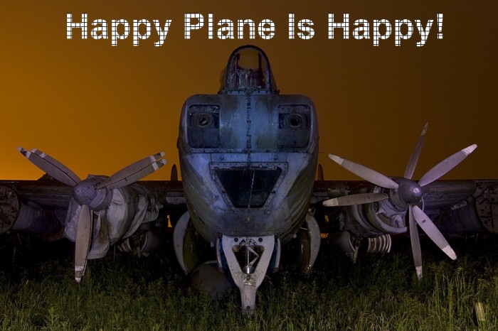 Happy Plane Is Happy | MyConfinedSpace