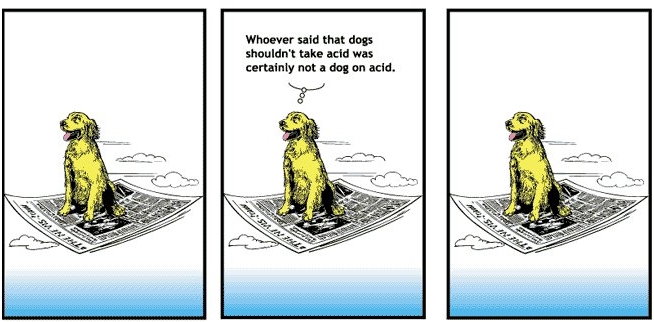 Dogs on Acid - MyConfinedSpace