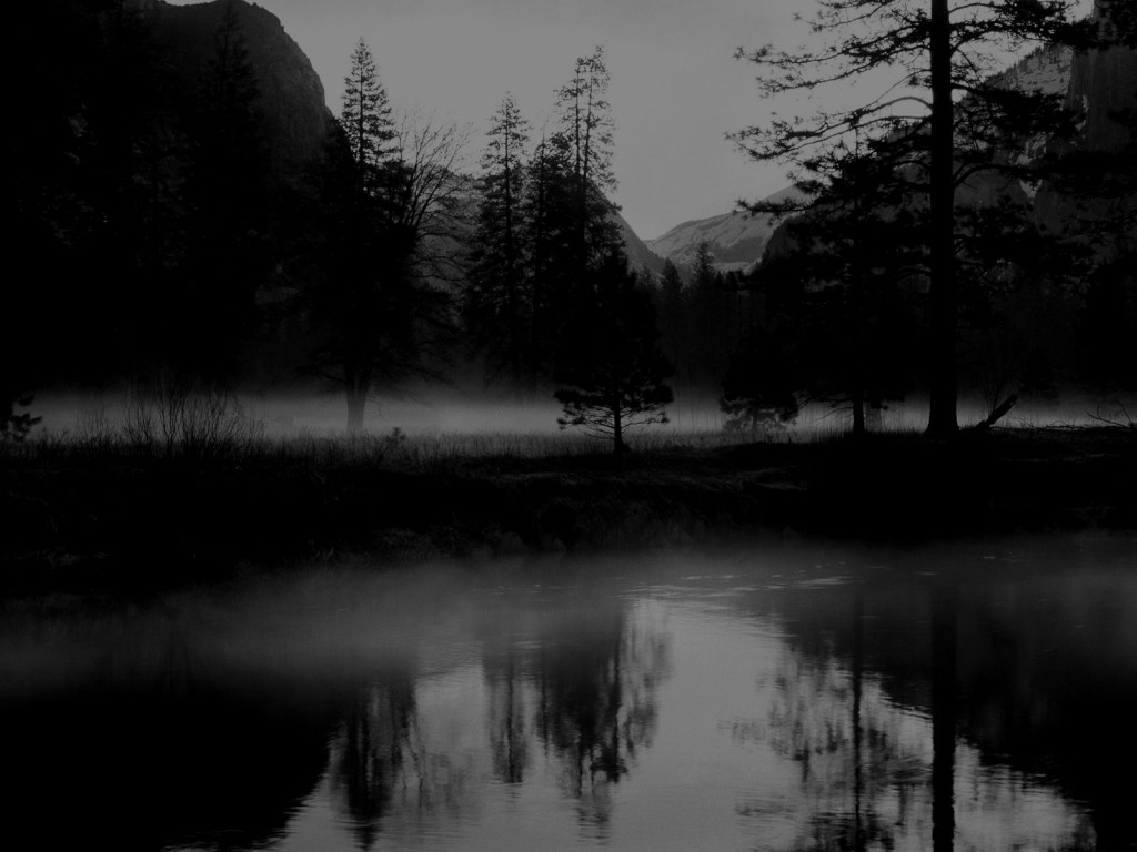 Dark Trees Wallpapers 6 | MyConfinedSpace