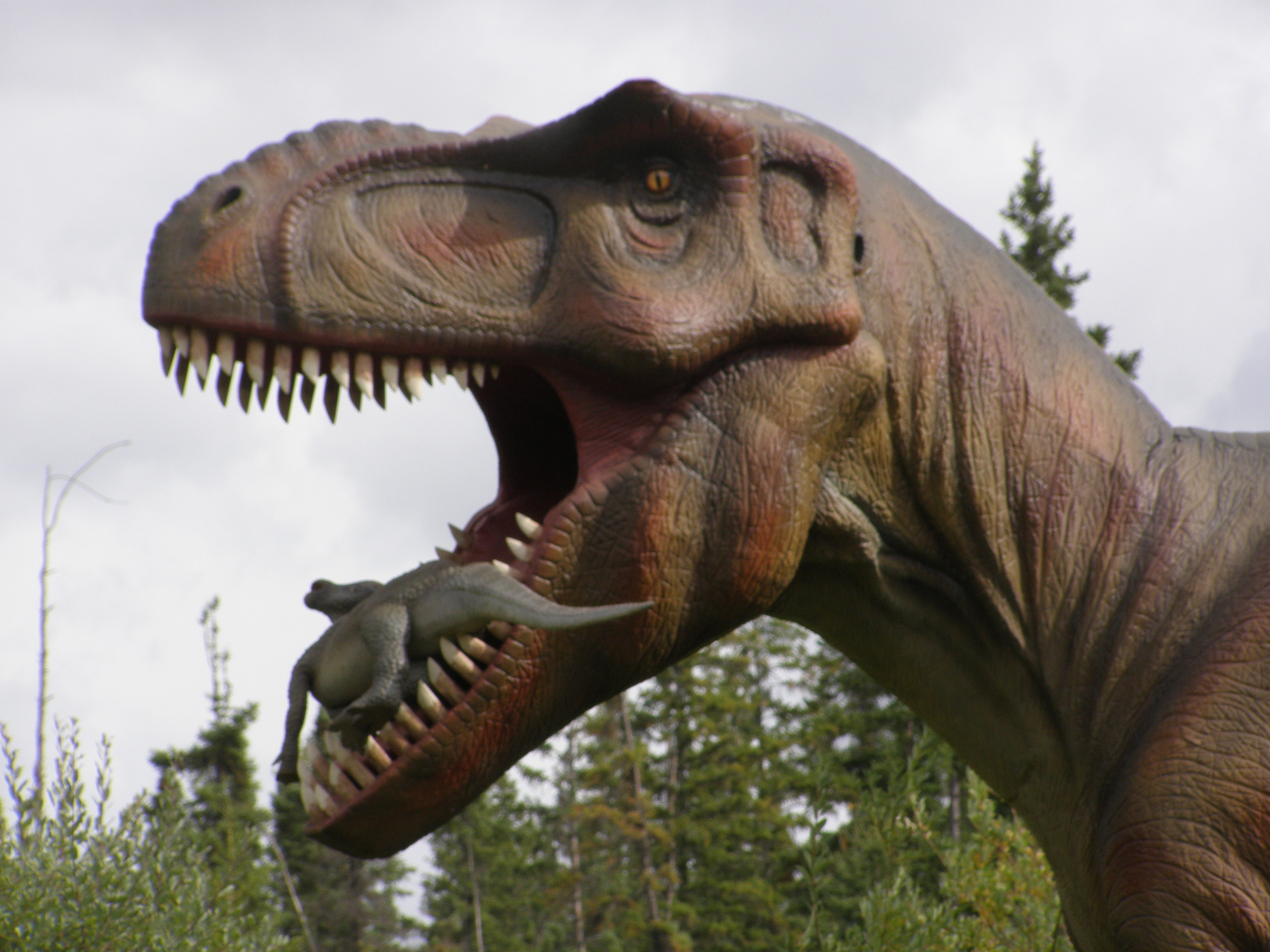 The Real Jurassic Park - MyConfinedSpace