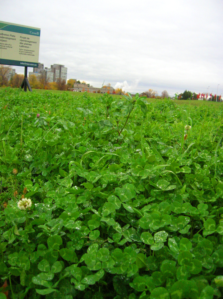 Cloverfield - MyConfinedSpace