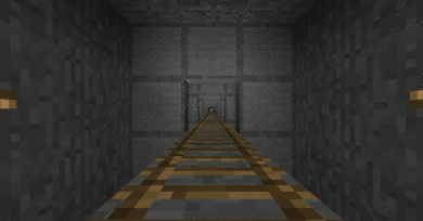 minecraft infinite ladder - MyConfinedSpace