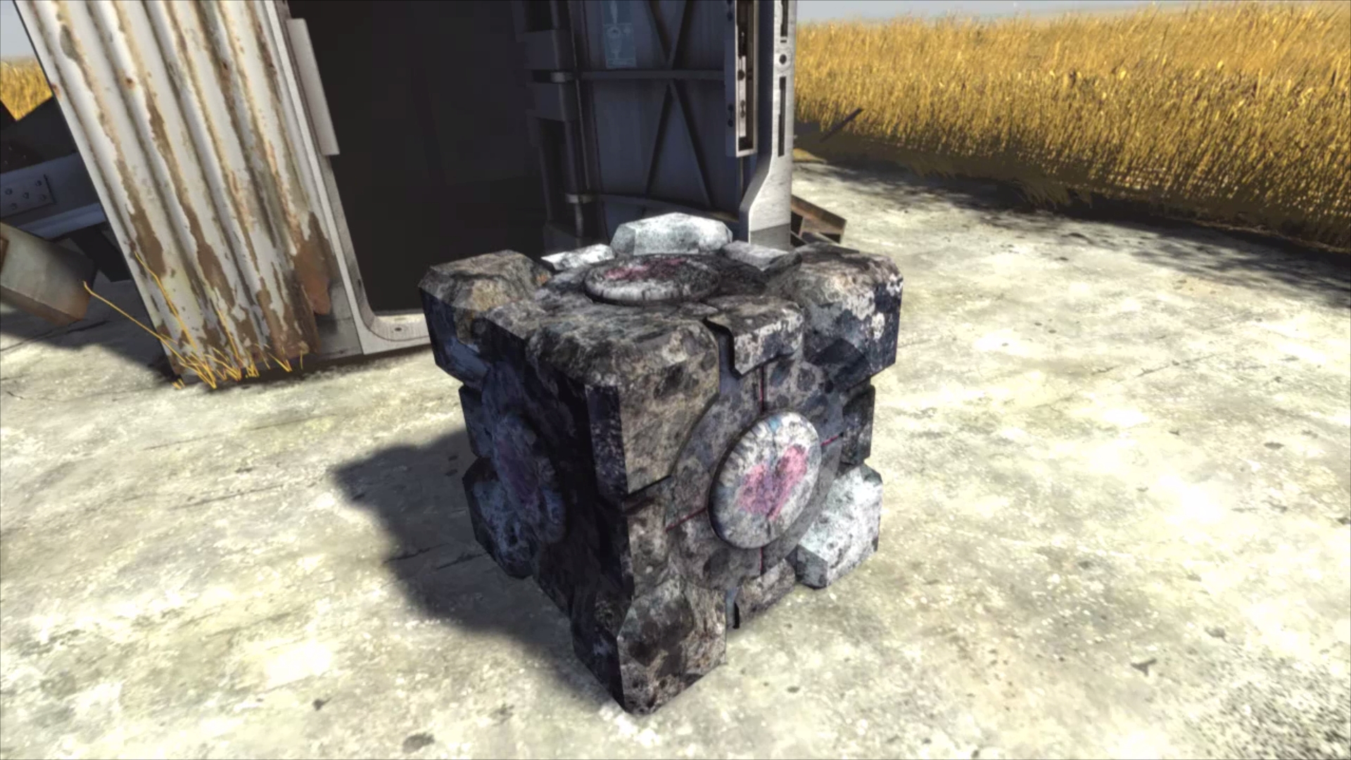 companion cube - MyConfinedSpace