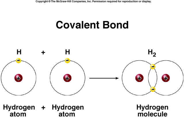 Science BEWBS! or…Covalent Bonds - MyConfinedSpace