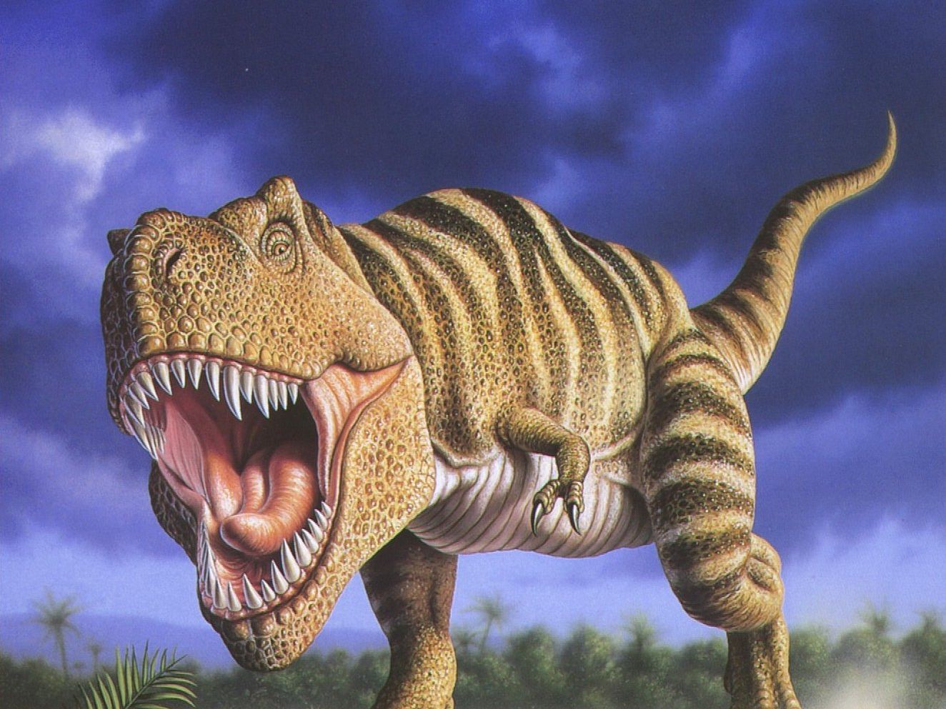 cavemen nightmare - MyConfinedSpace