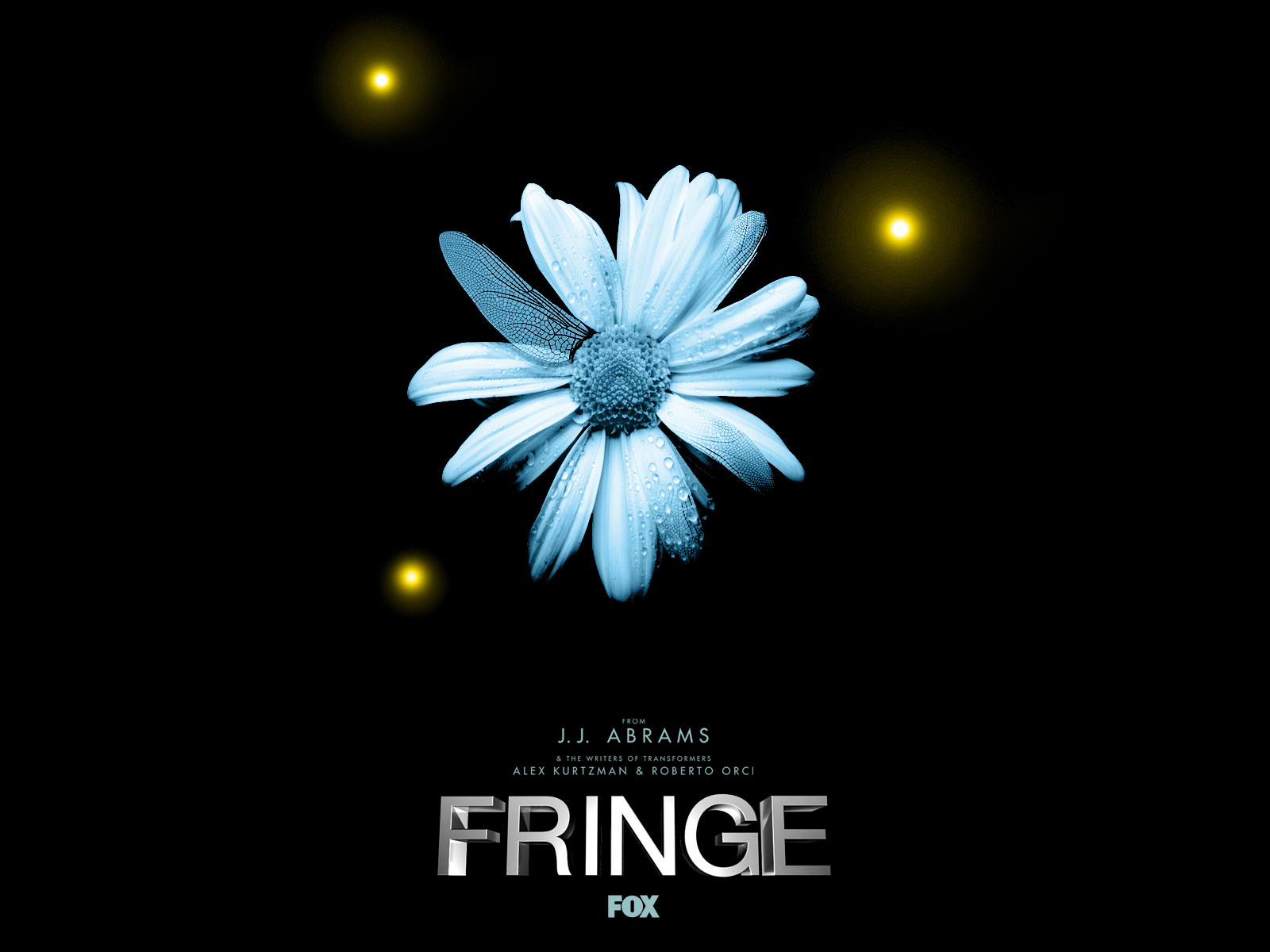 fringe - MyConfinedSpace