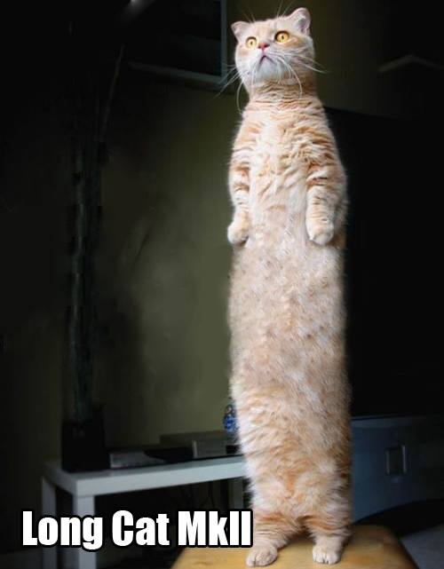 Long cat MkII « MyConfinedSpace