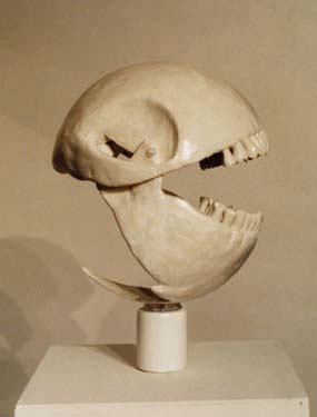 Skeleton of Pac-Man - MyConfinedSpace