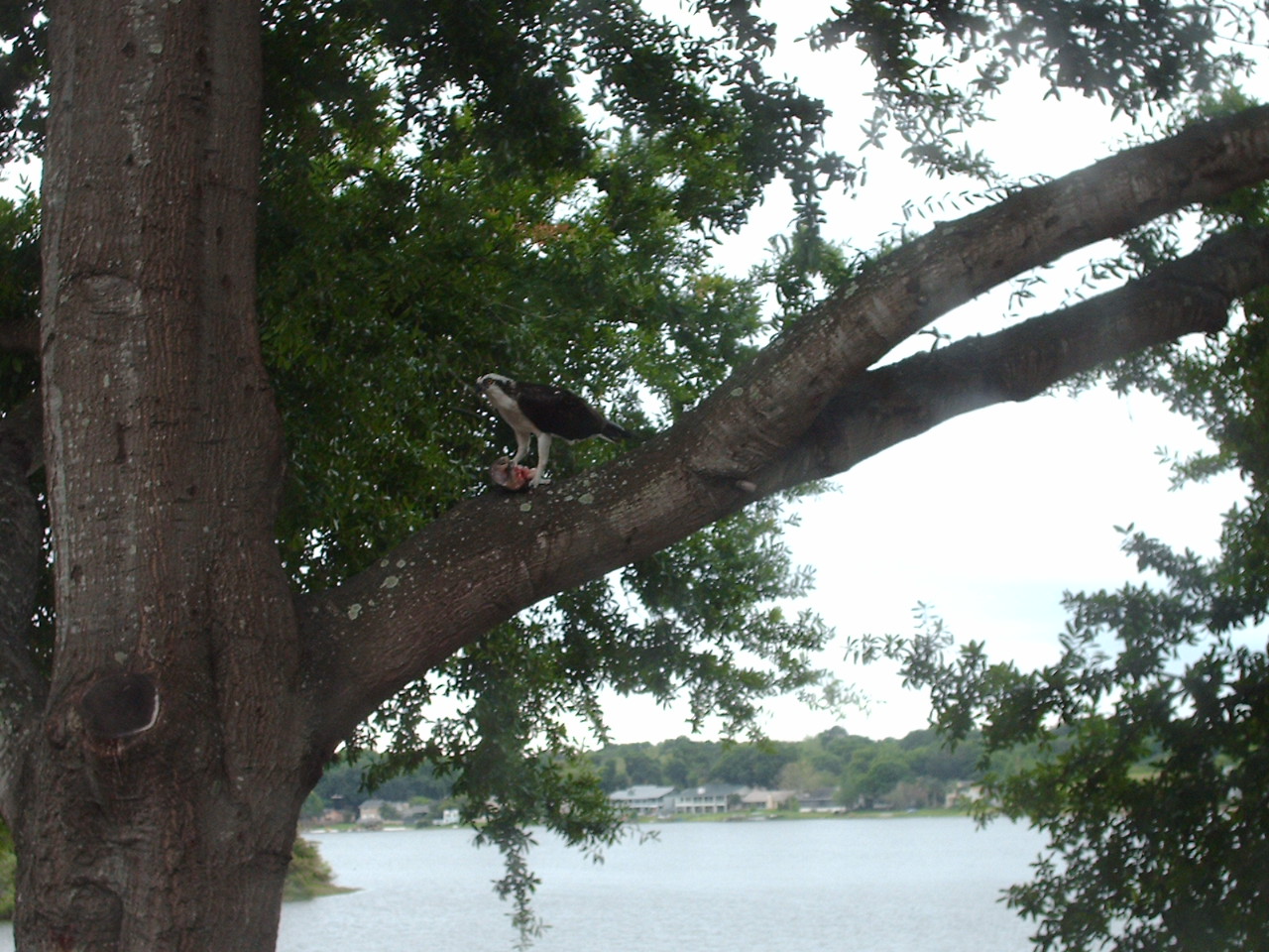 Outside my window - MyConfinedSpace