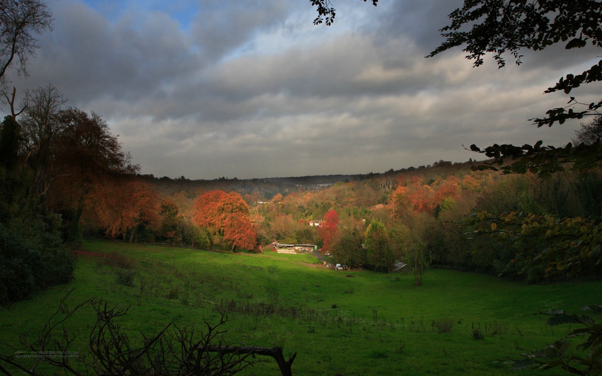Surrey, England wallpaper - MyConfinedSpace