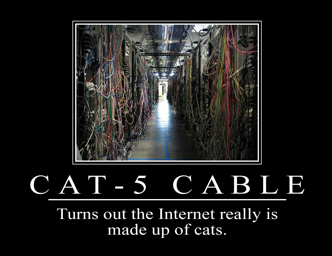 Cat-5 - MyConfinedSpace