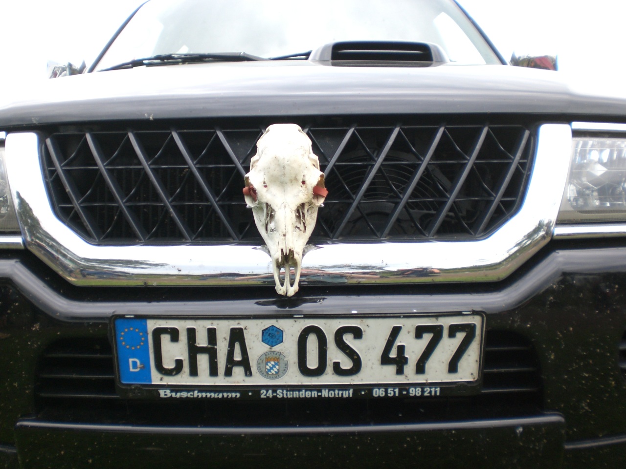 Chaos license plate - MyConfinedSpace