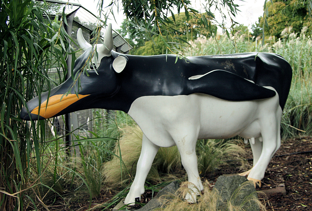 Penguicow - MyConfinedSpace