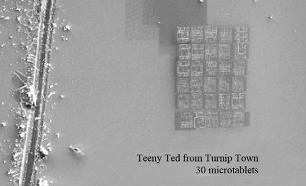 Teeny Ted from Turnip Town - MyConfinedSpace