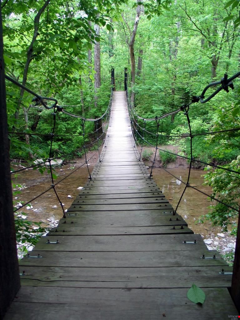 Awesome Bridge - MyConfinedSpace