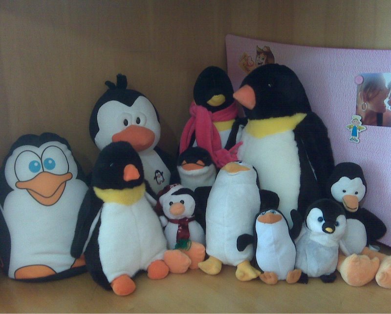 Penguin Collection - MyConfinedSpace