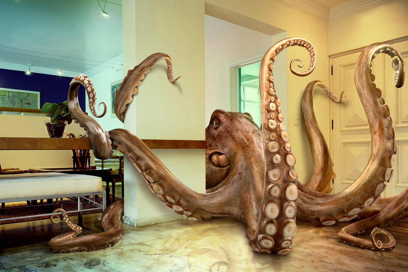 Octopus In The Living Room - MyConfinedSpace
