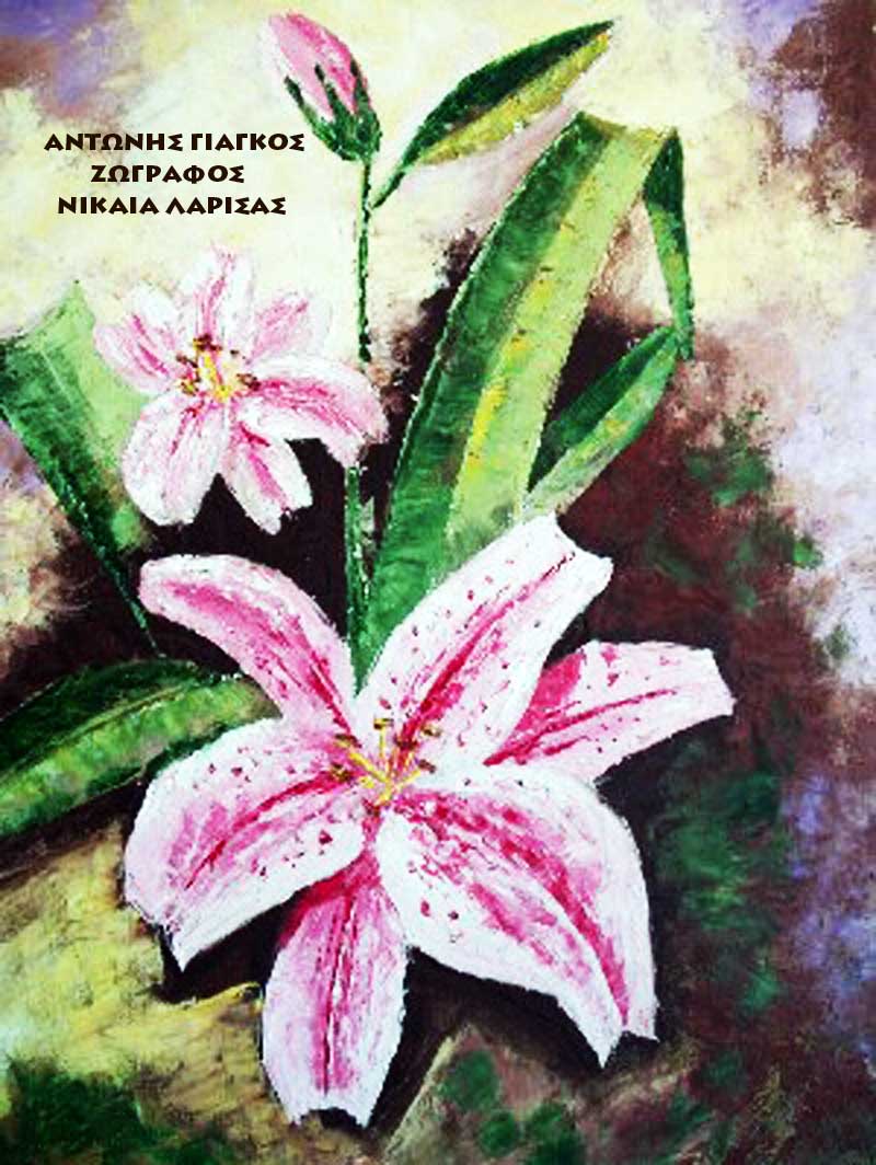 Pinakes - MyConfinedSpace